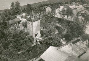 Bertrange | Vie et Culture